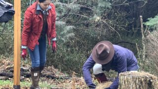 東京創生プロジェクトドラマ「東京水没！？」TVerにて配信開始！ - BS11+トピックス | BS11プラス トピックス